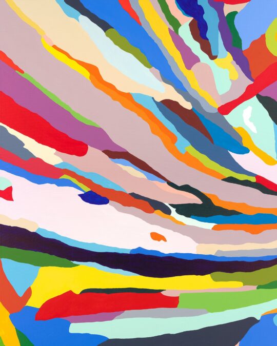 2019 – 2021 - Carolyn Reed Art