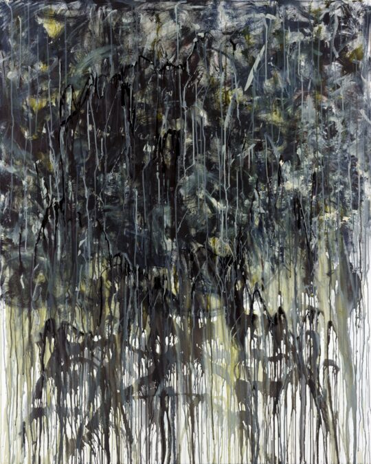 Storm Tears - Carolyn Reed Art